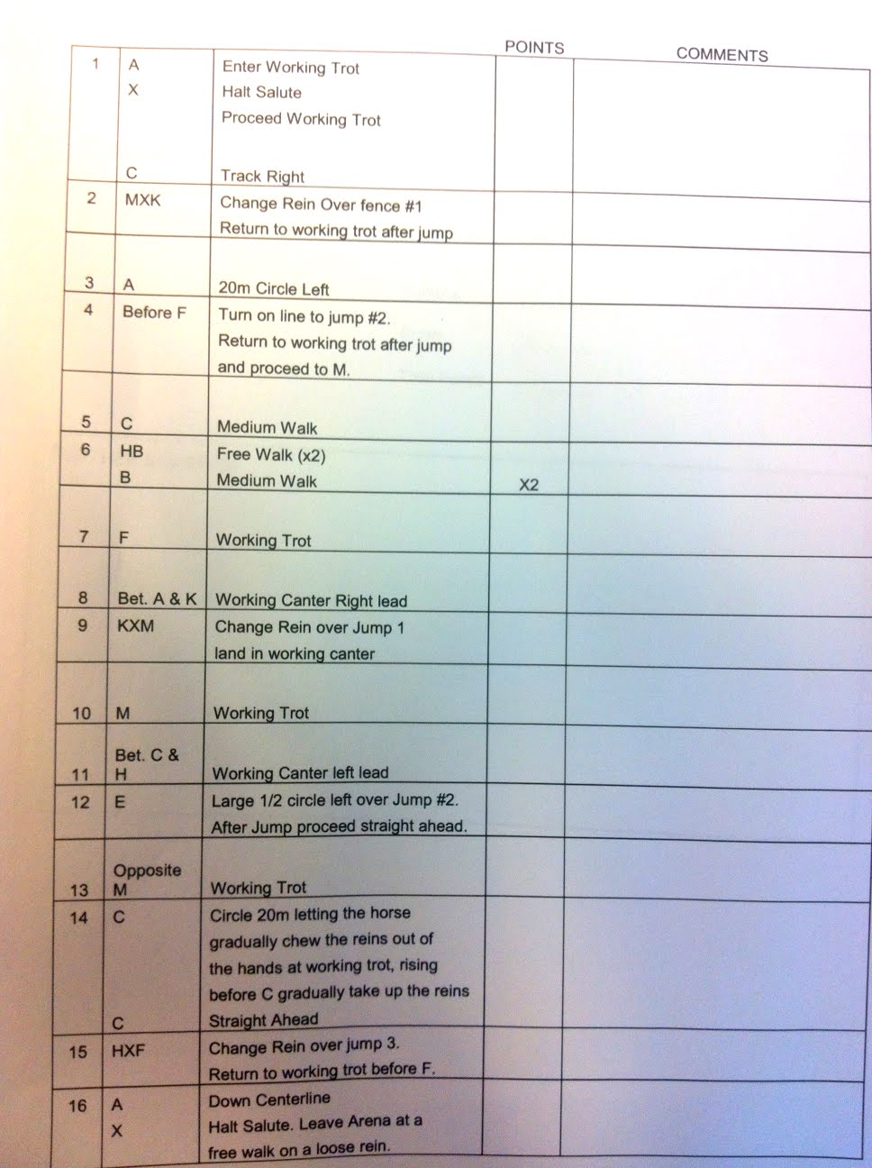 Pia's (and Prairie!) Parade: Prix Caprilli