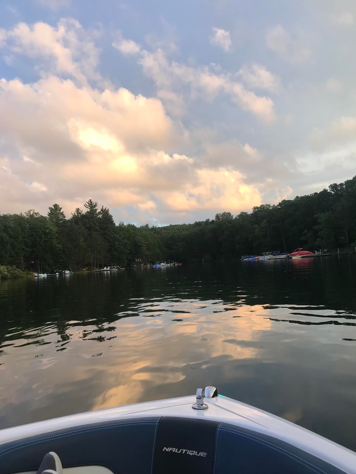 Laura Fazzini: Journal #2