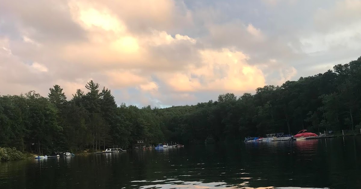 Laura Fazzini: Journal #2