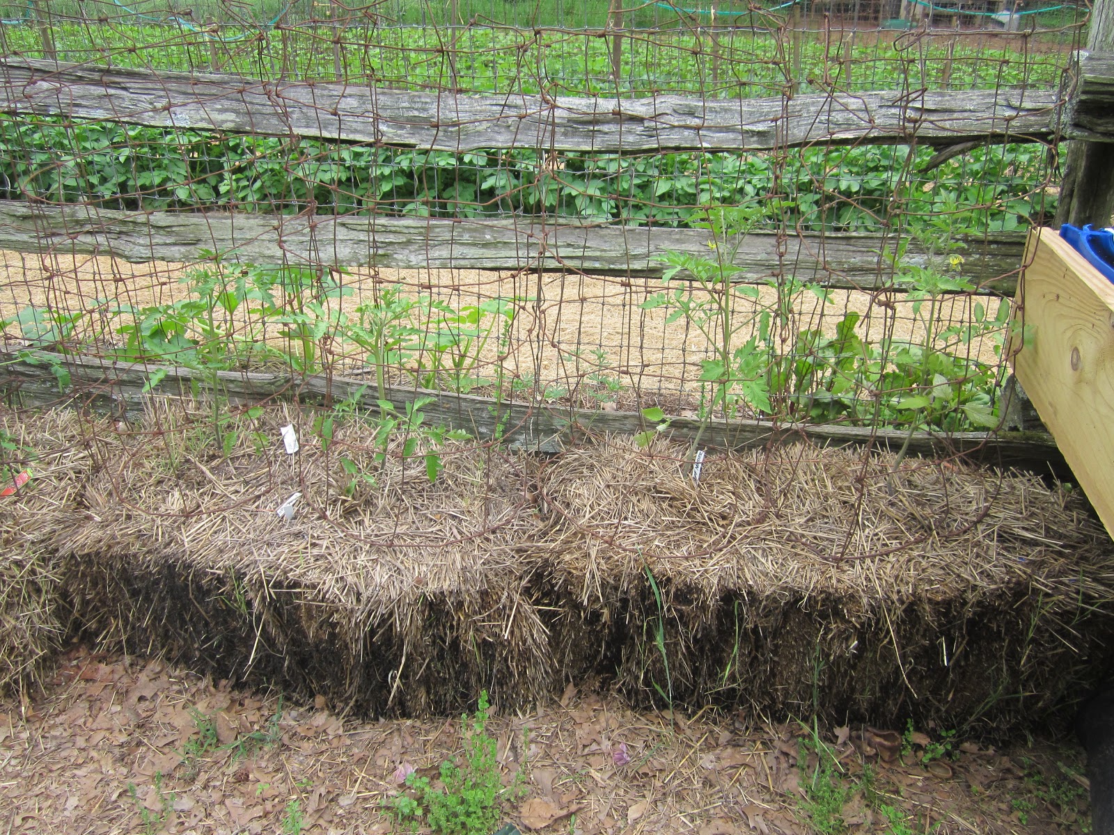 McCoy Farm and Folk Art: 2017