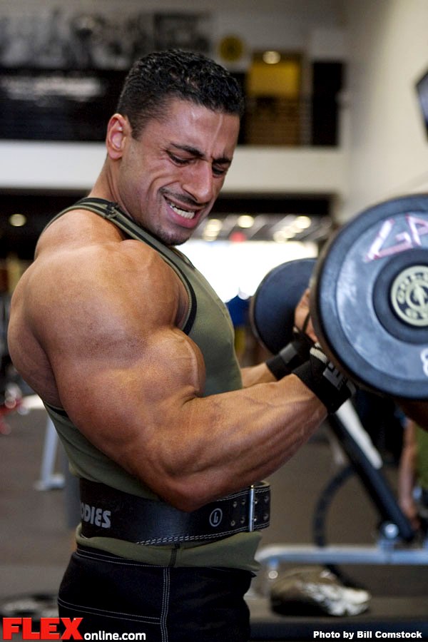 Knights of Bodybuilding: AHMAD AHMAD