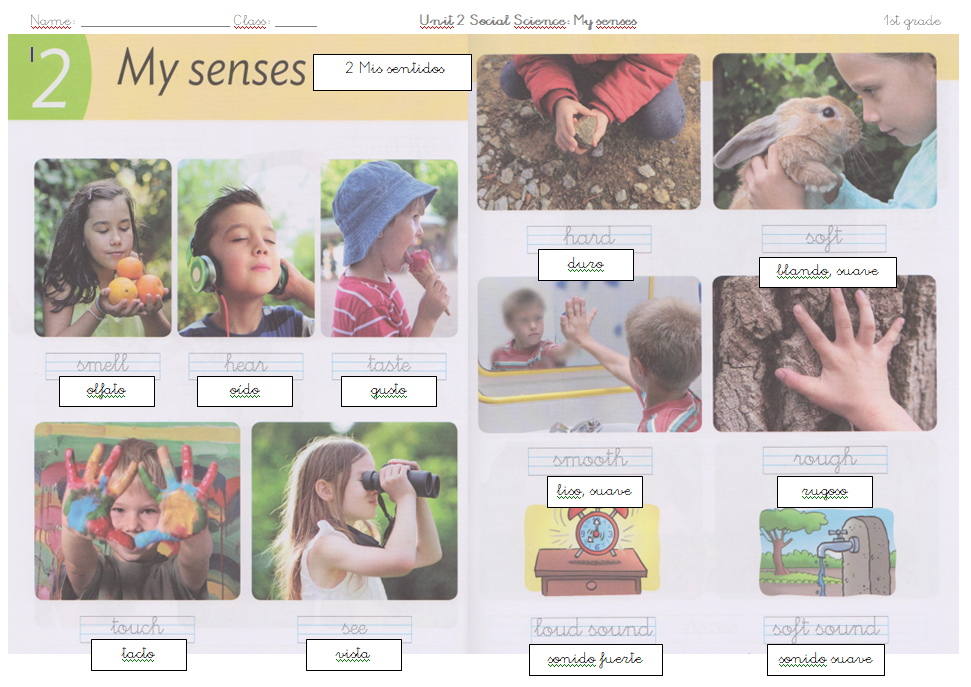 First grade stuff: Unit 2 natural science:My senses
