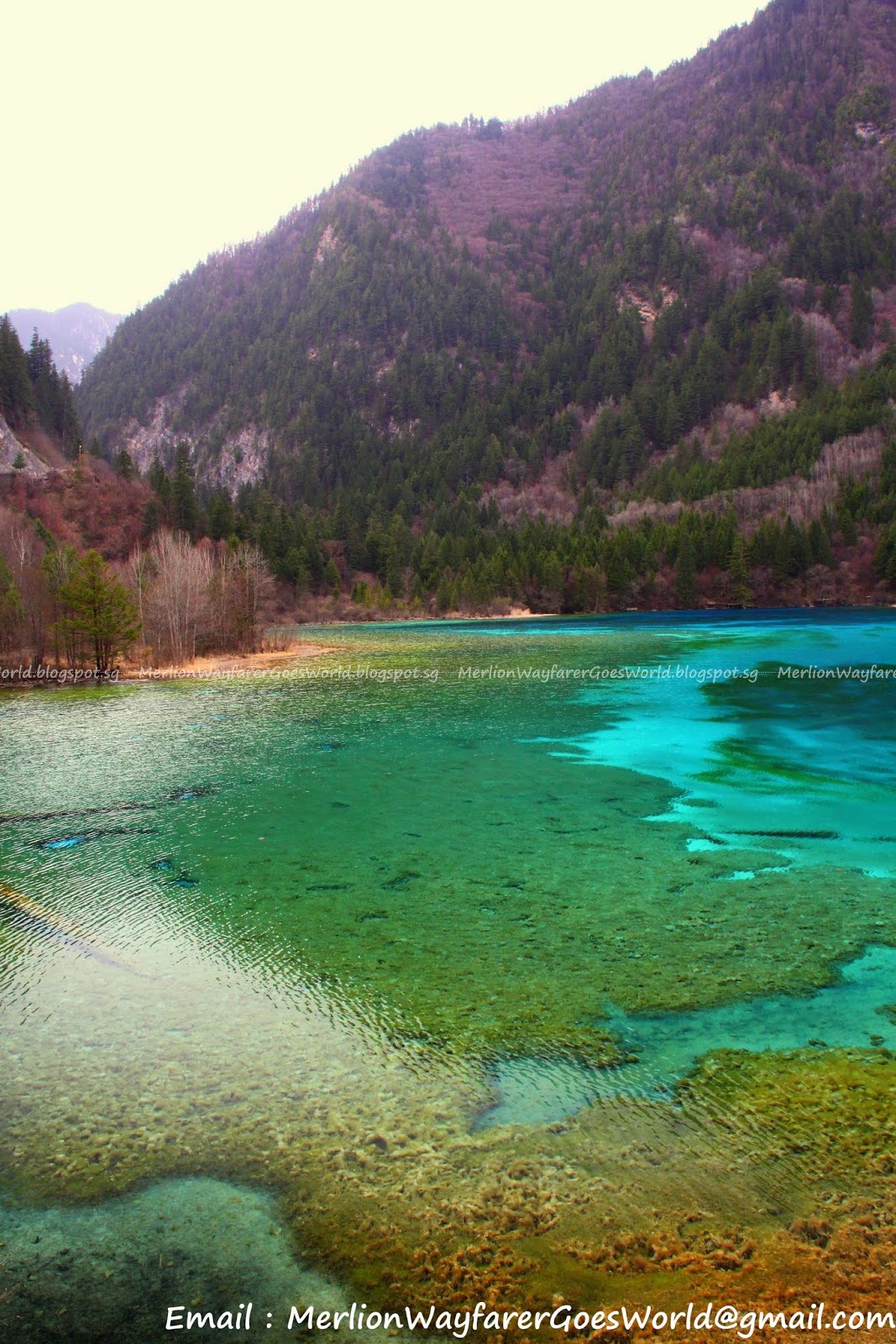 Jiuzhaigou - Rize Valley ~ Merlion Wayfarer Goes World