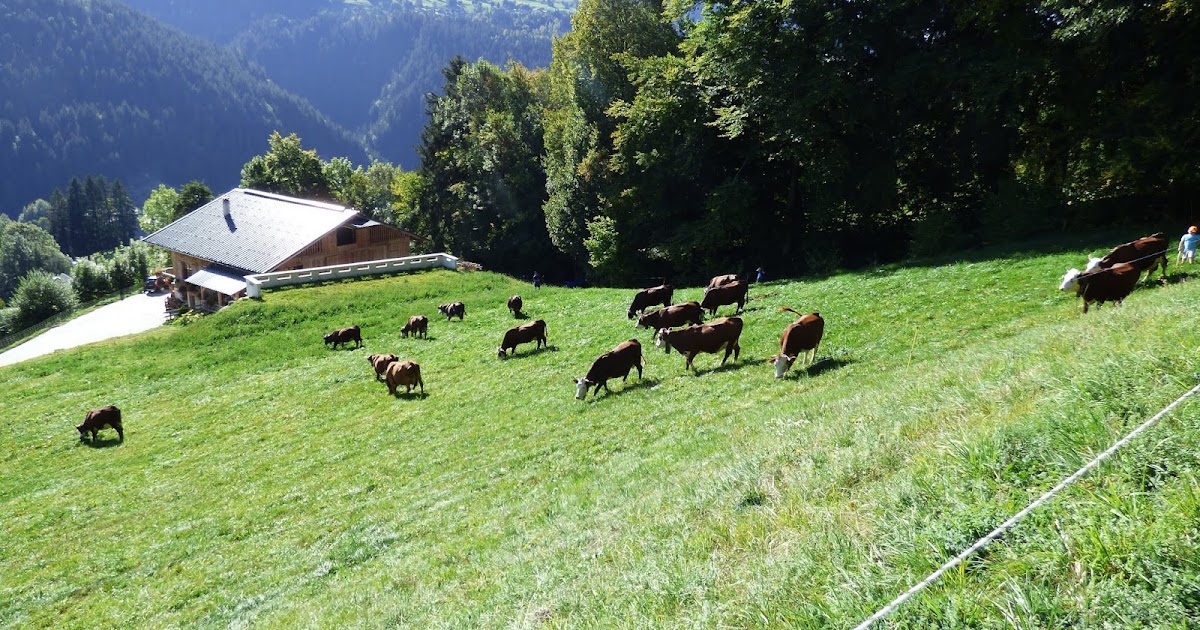 .: Pause insolite chez Vincent Balmand.