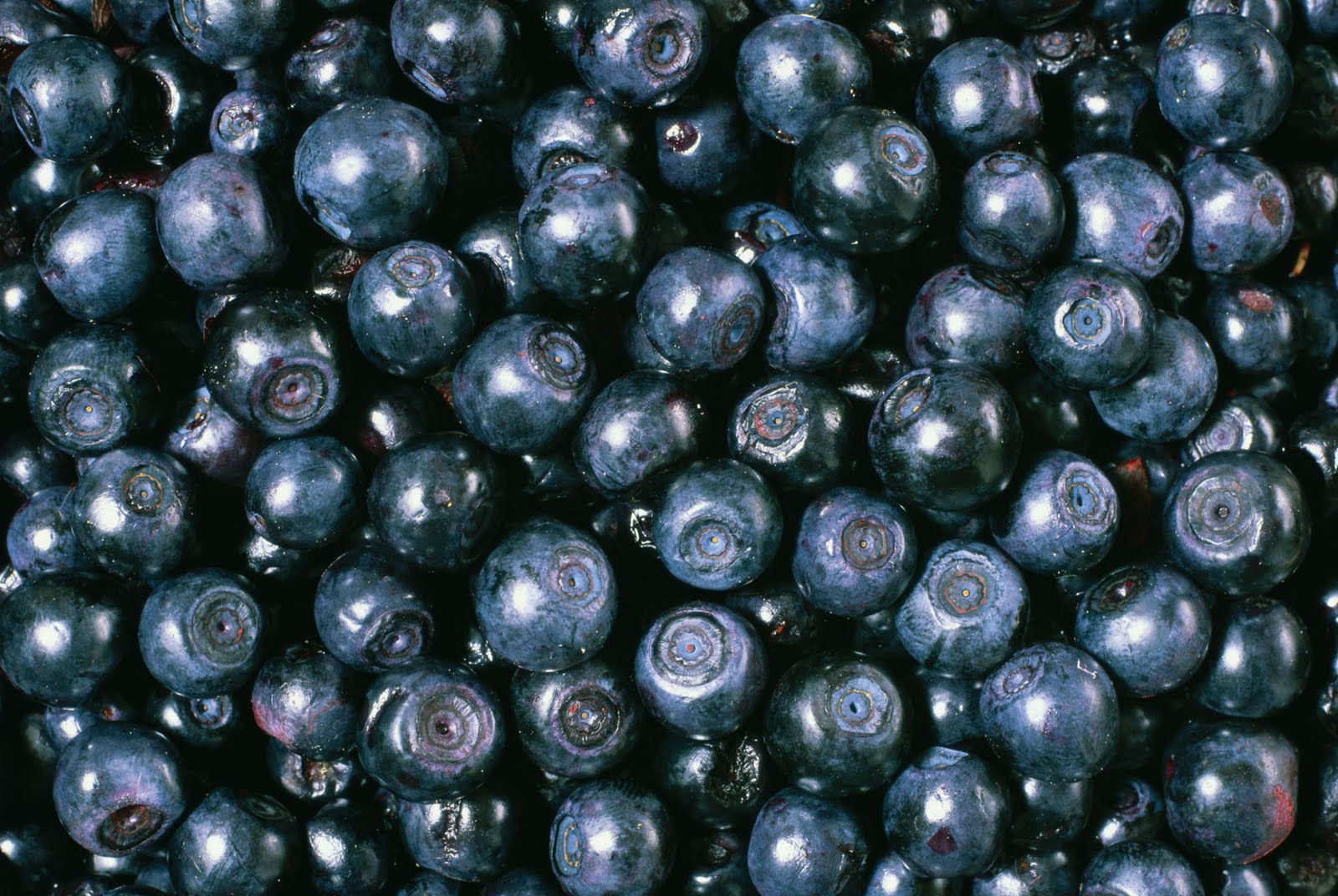 Wallpaper - Photo and Images