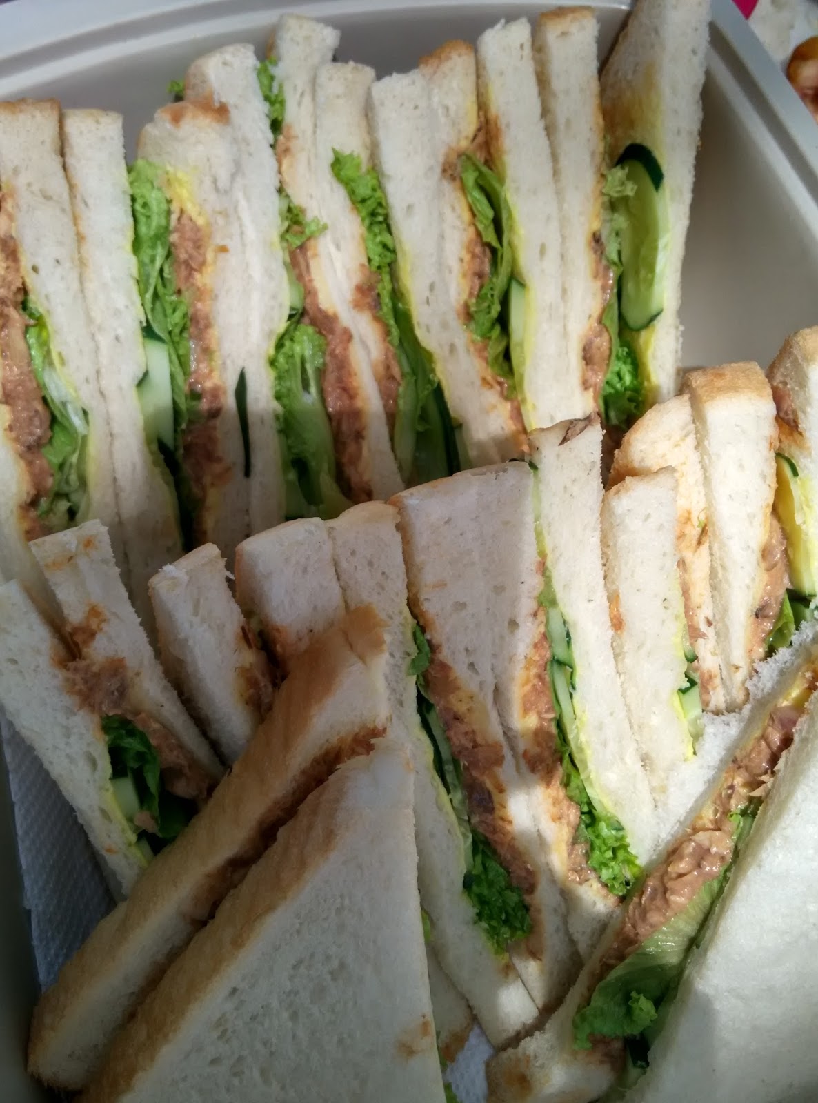 Menu Simple Berkelah Di Pantai Pengkalan Balak ~ SURIA AMANDA