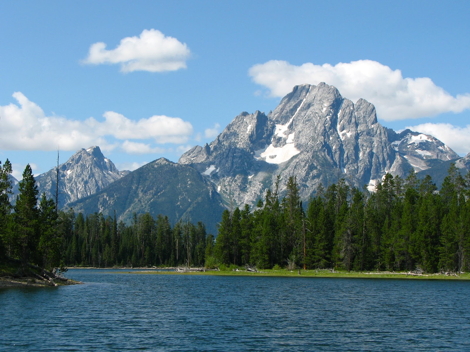 Oakwar: Mount Moran from the Ground