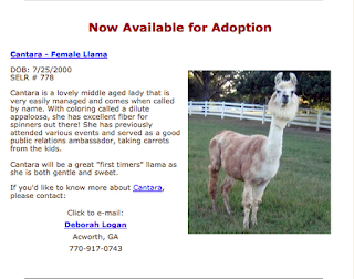 FarmLife: Southeast Llama Rescue: A Second Chance