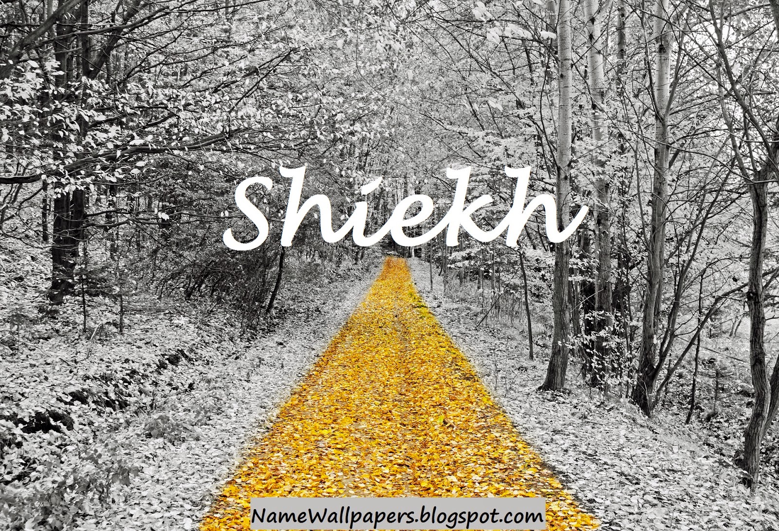 Shiekh Name Wallpapers Shiekh ~ Name Wallpaper Urdu Name Meaning Name ...