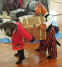 10 excelentes disfraces para perro