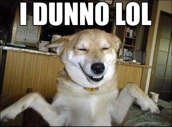 30 funny animal captions - part 2 (30 pics) | Amazing Creatures