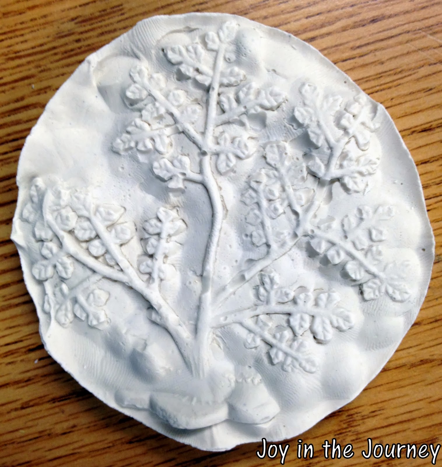 Making Fossils in the Classroom - Joy in the Journey