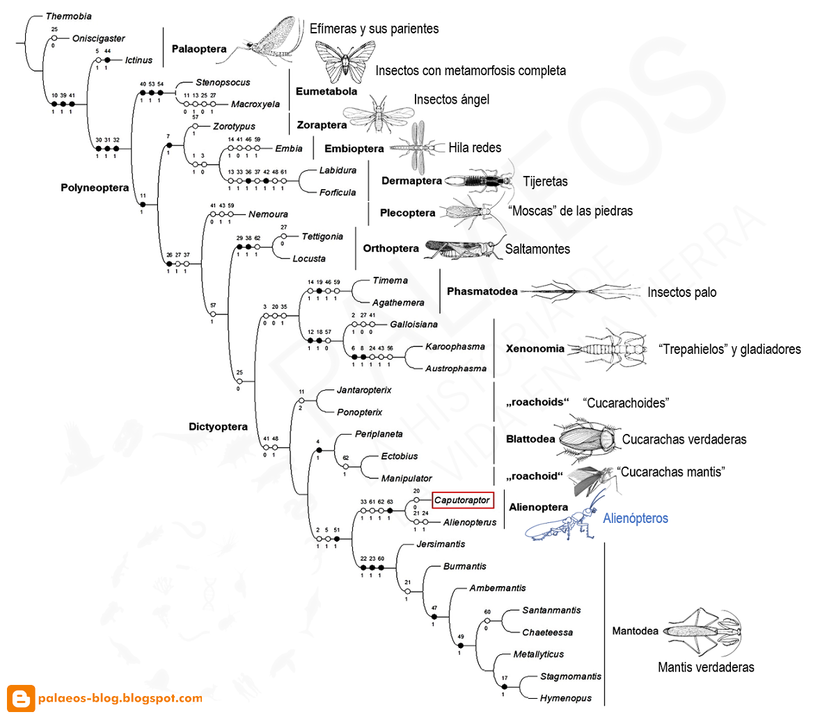 Palaeos, la historia de la Vida en la Tierra: febrero 2018