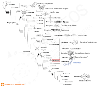 Palaeos, la historia de la Vida en la Tierra: febrero 2018