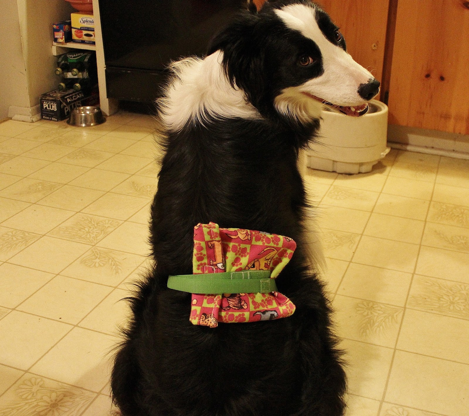 Know Thy Dog: Check out our new hands free Ice packs available from ...