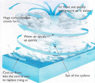 Mr Robinson's Year 9 Geography Class Blog: Tropical Cyclones