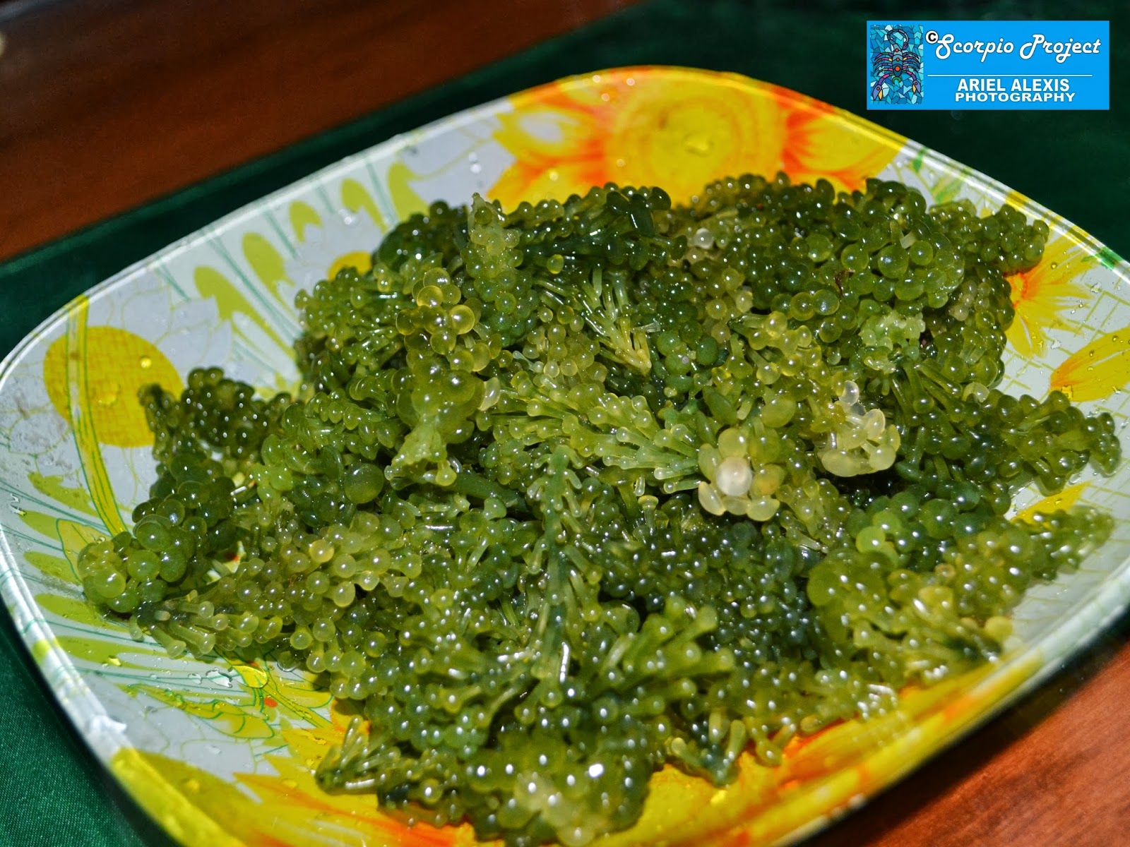 Scorpio's Sojourns: Surprised by Surigao City (Part 2)