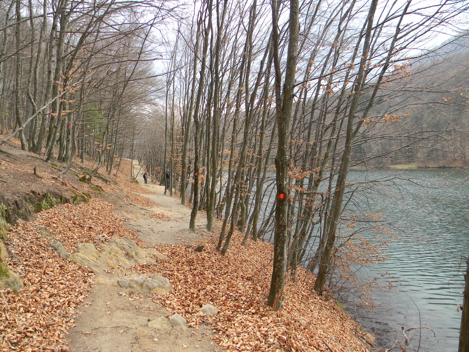 Blog de Calatorii si Drumetii Montane.: Lacul de la Codlea ,jud.Brasov ...