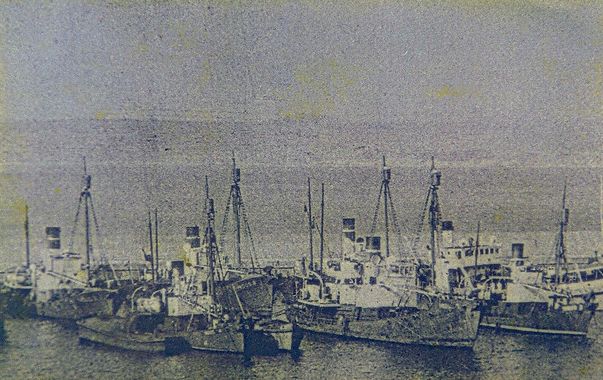 FILANAVAL: LA BALLENA ( INDUSTRIA BALLENERA EN CHILE )