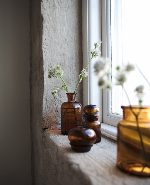 Roses and Rust: Beautiful Brown