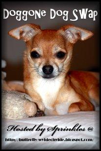 Raising Addie: Doggone Dog Swap