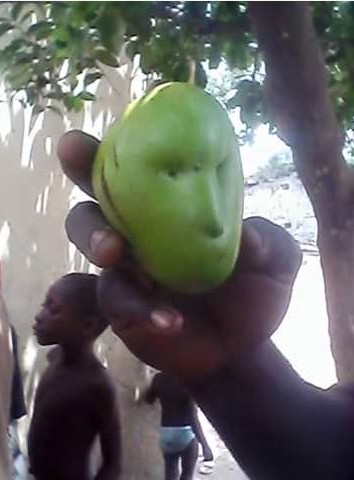 Welcome to AbujaGist: Photo: A Mango With Human Face Seen In Nasarawa State