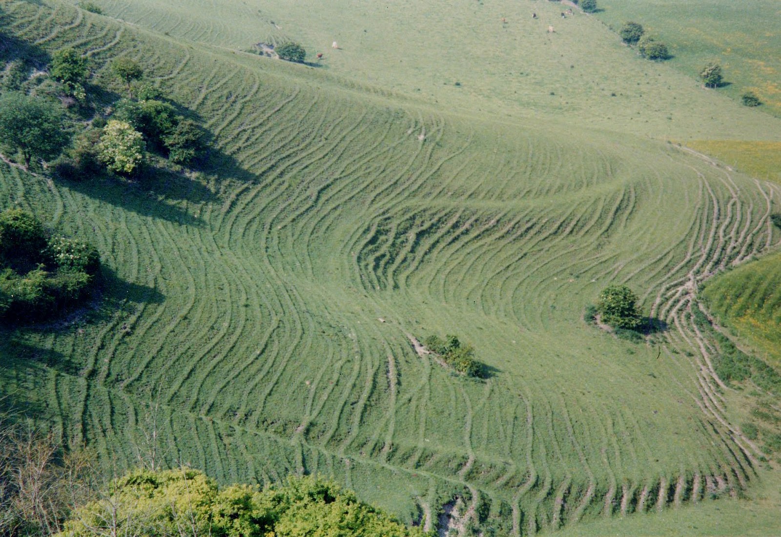 Biologia 4º ESO: FORMAS DE EROSIÓN EN LAS LADERAS