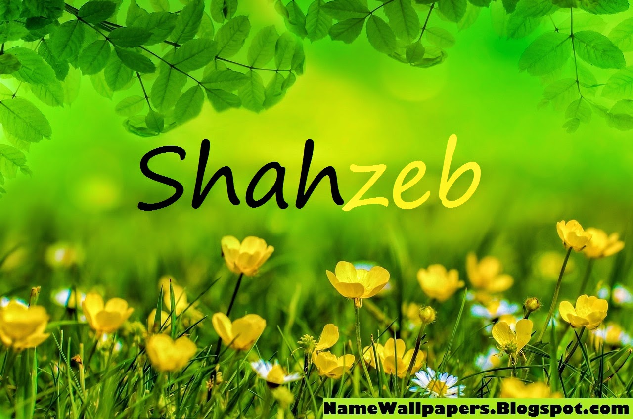 Shahzeb Name Wallpapers Shahzeb ~ Name Wallpaper Urdu Name Meaning Name ...