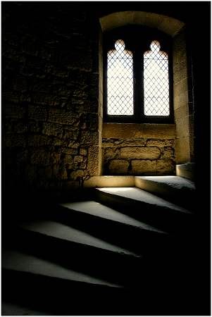 Strongheart: Wendell Berry: Window, Window