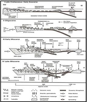 Geologi Regional Cekungan Kutai ~ Bubuhan Sedimentologi