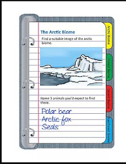 How novice teachers can benefit from interactive notebooks