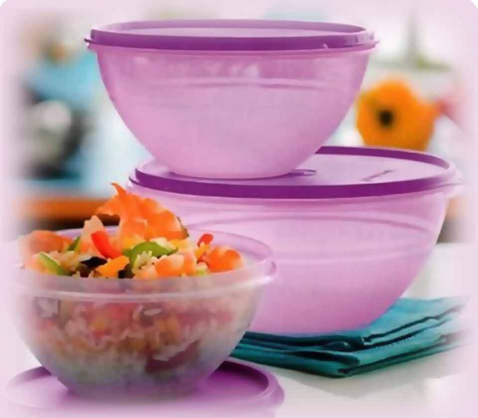Tupperware na minha casa!: Conhecendo melhor nossos produtos...