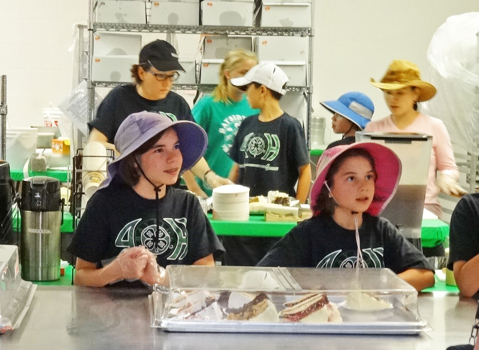 MAD MEAT GENIUS: ALAMEDA COUNTY FAIR FOOD