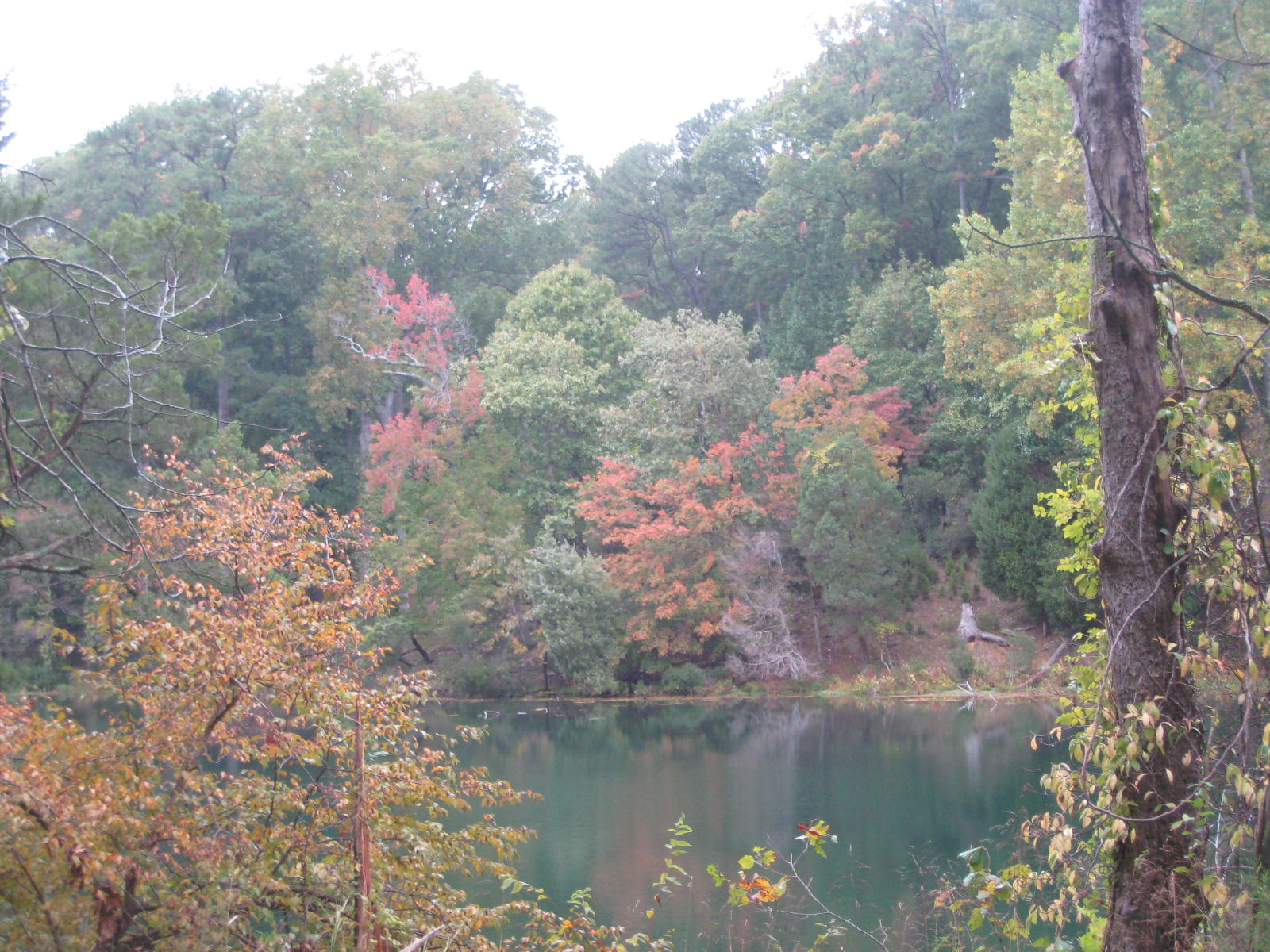 Meixner Messages: Armistead Family History #1 - Shirley Plantation