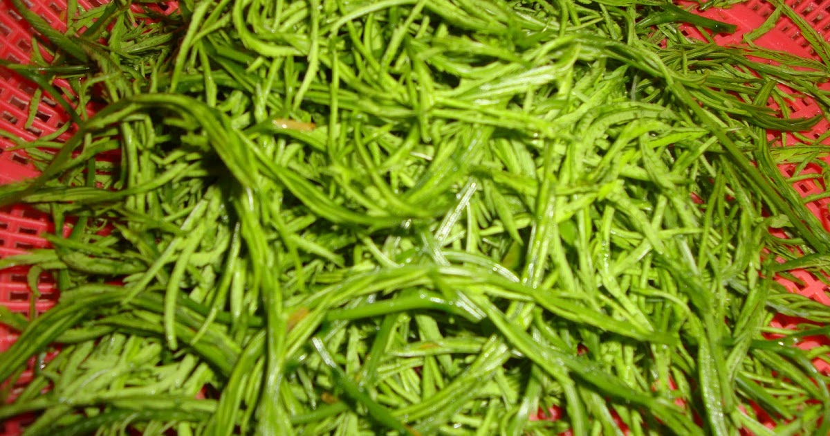 Food in Cambodia and Cuisine in Cambodia: Egg Omelette with Saom (Khmer ...