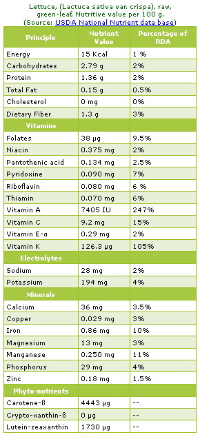 Lettuce Nutrition Fact And Health Benefits You Must Know | Lets Go Healthy