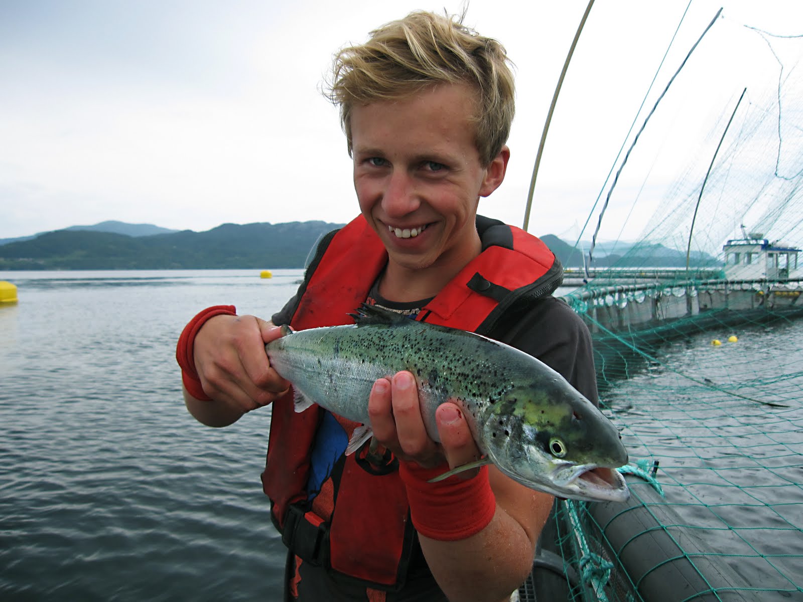 Alltid på rymmen: Fisk, fisk, lite krabba och ännu mer fisk!