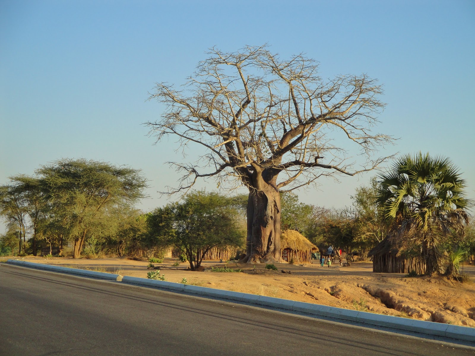 Lobito - Benguela - Angola: ==> *** Município do Chongoroi - Terra dos ...