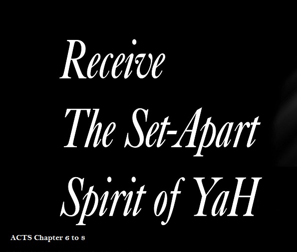 True Fruit Bearers: Set-Apart Spirit