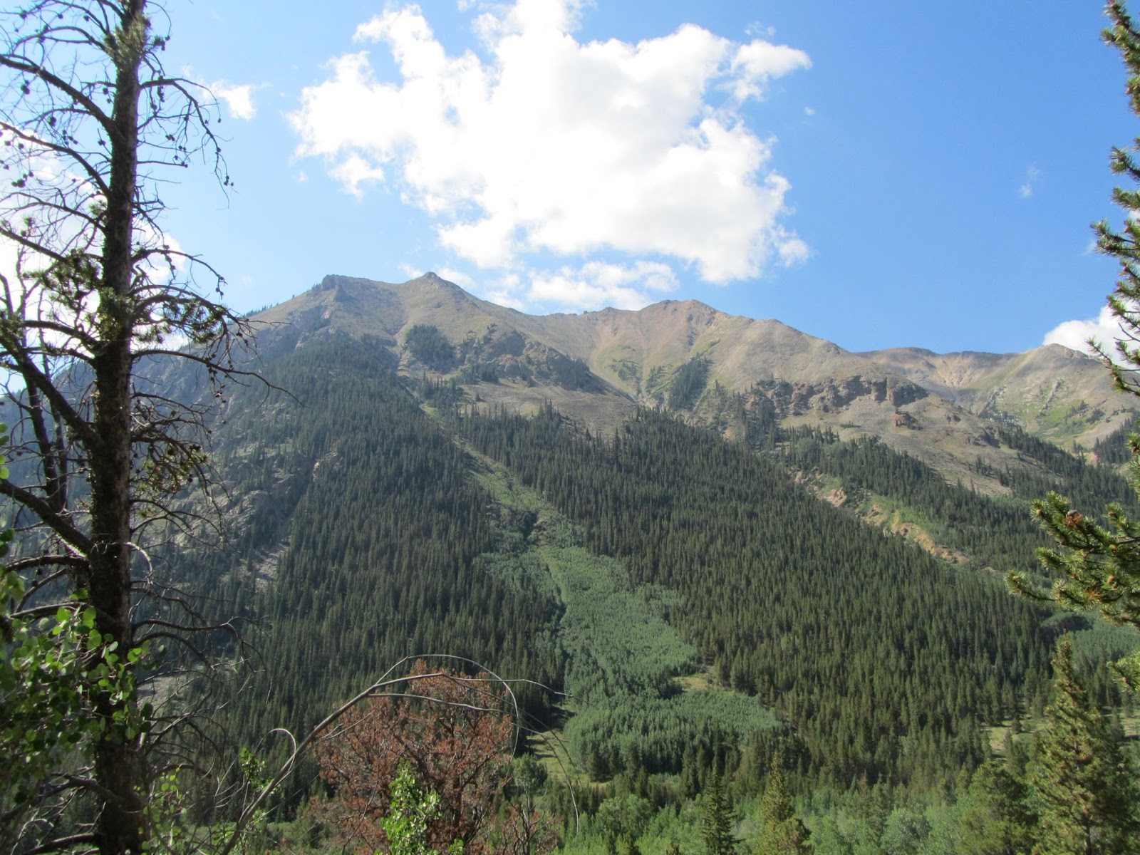 Tomcat's Outdoor Adventures: Backpacking the Collegiate Loop