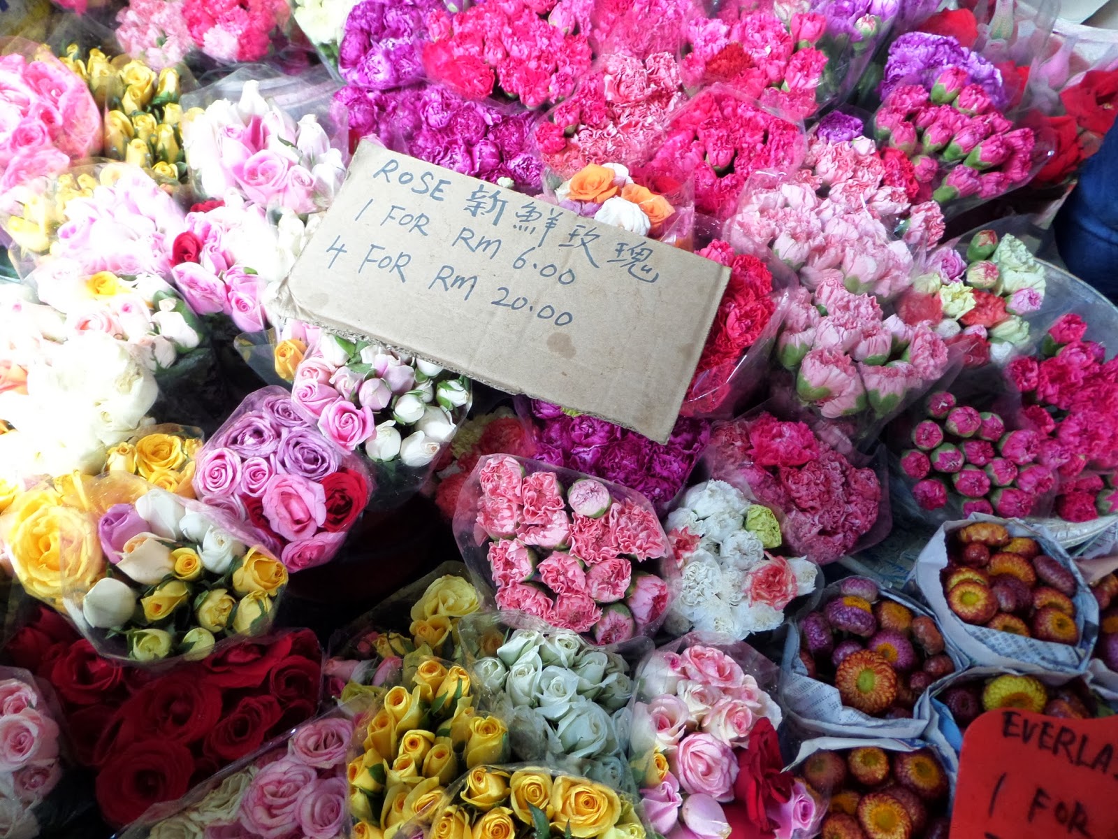 foto zaza: bunga ros segar 43sen sekuntum