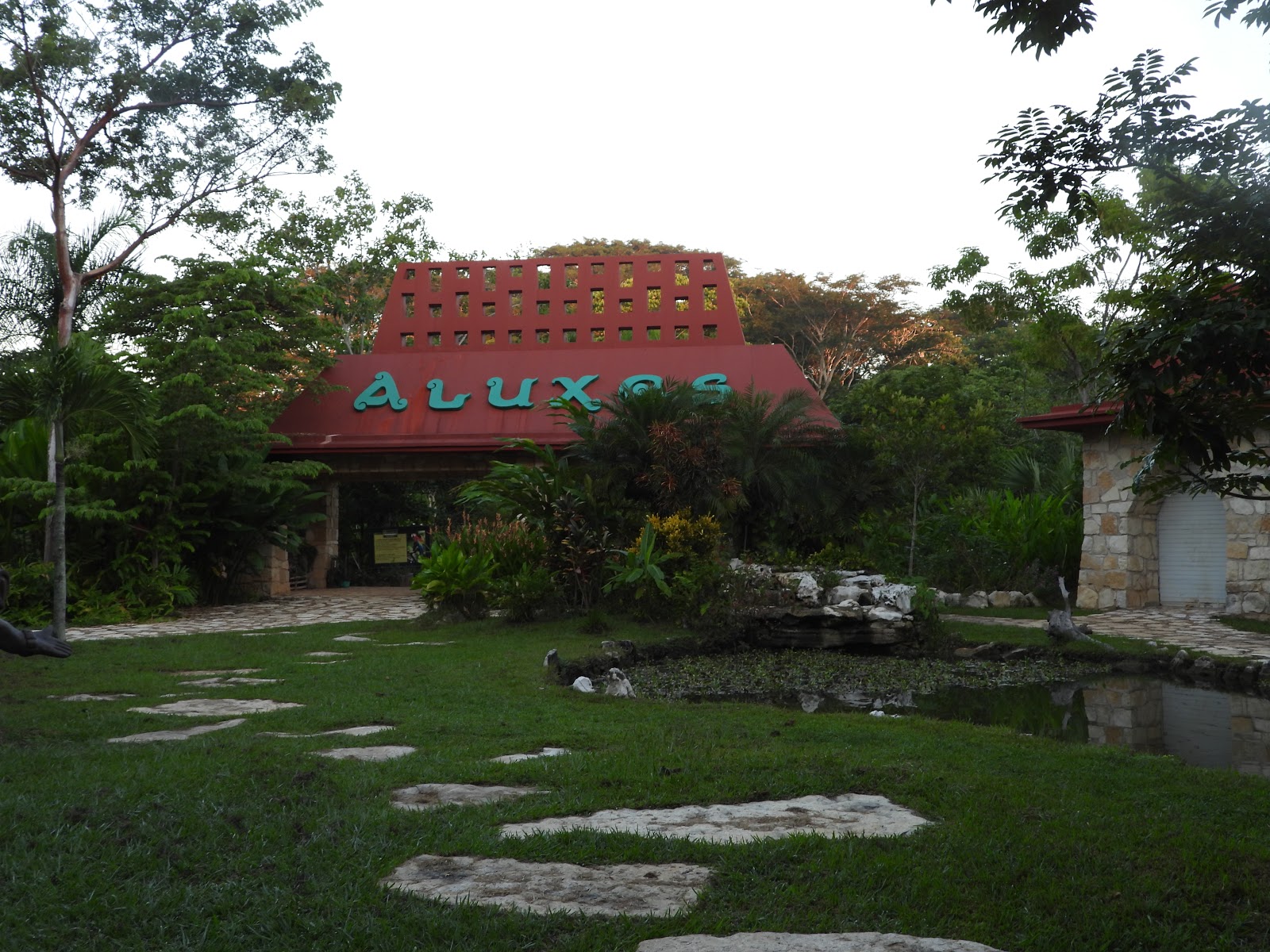 Bird & Travel Photos, Birding Sites, Bird Information: VIEWS AT ALUXES ...