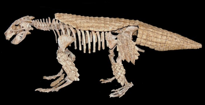 The Pondering Gulch: Et Tunc Nulla Erat VI