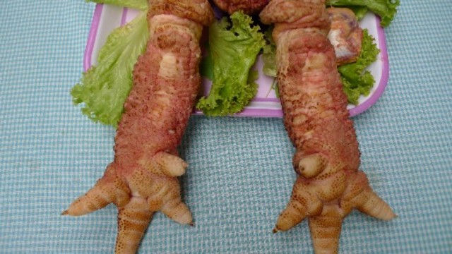 El Pollo Dong Tao: Una rara especie de ave con piernas de dragón - RUTA 33