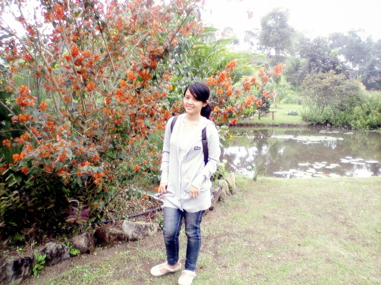 KEBUN MAWAR DAN KEINDAHANNYA - SAMARANG, GARUT, JAWA BARAT | CATATAN ANGIN