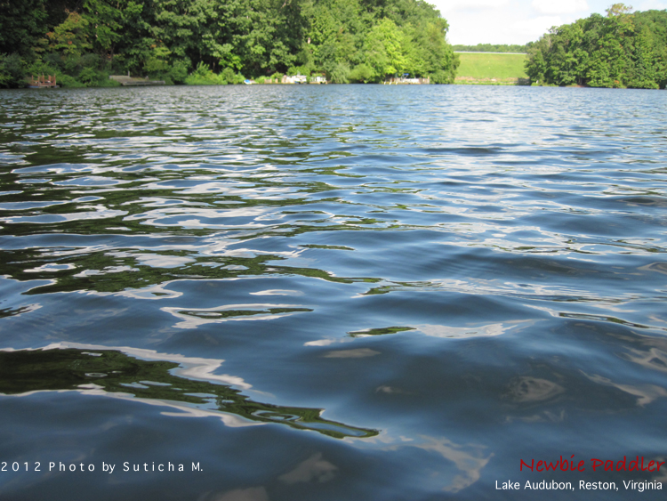 Newbie Paddler: Lake Audubon, Reston, Virginia