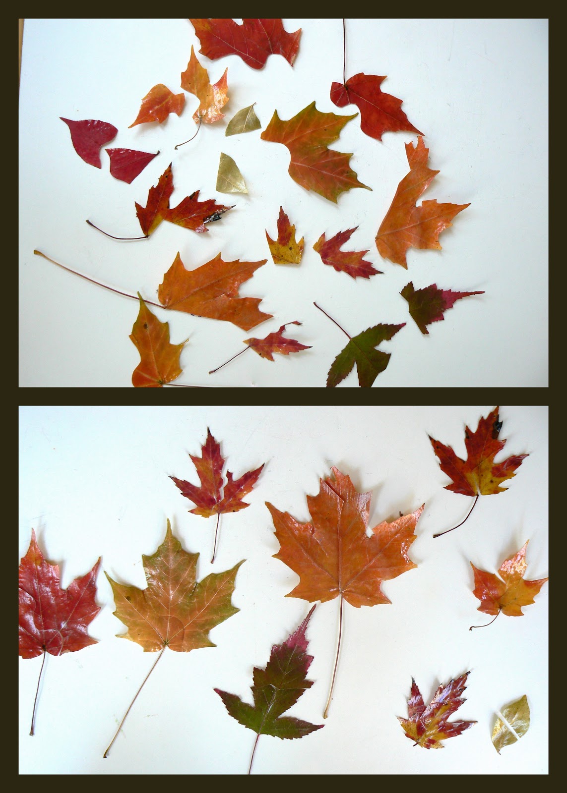 Having Fun at Home: Fall Leaf Puzzles