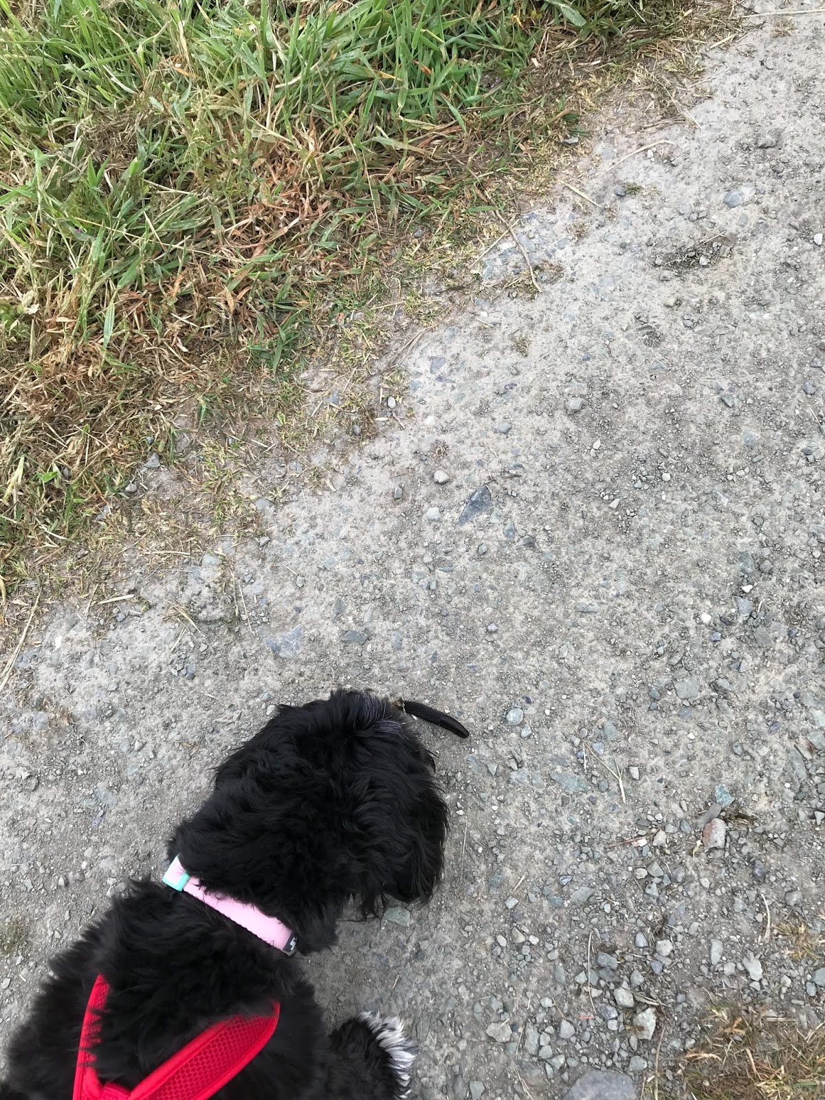 Adventures of the LLB Gang: Flashback Nature Friday