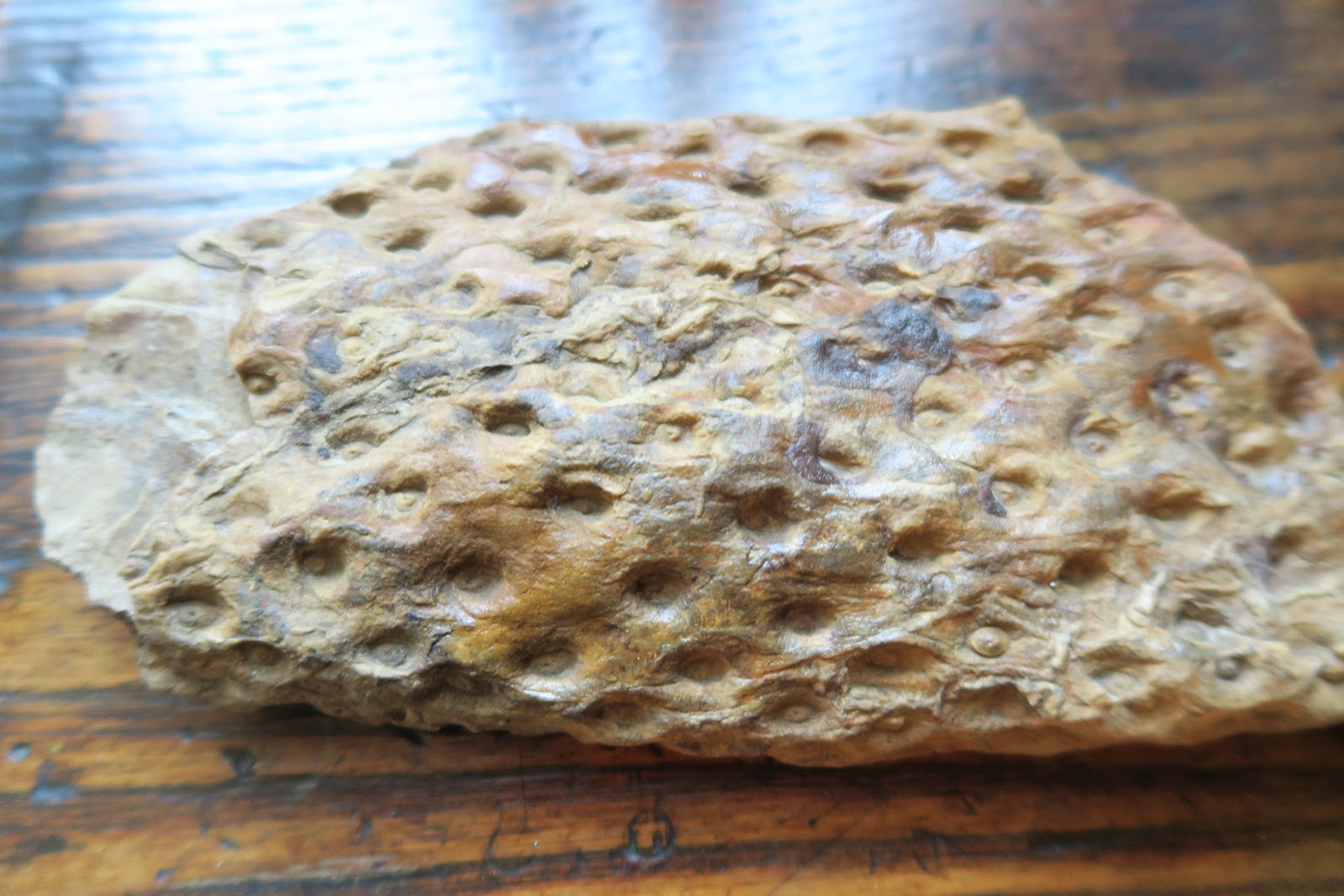 An Apel a Day: Polly Plastics Moldable Plastic & Color Pellet Kit Review