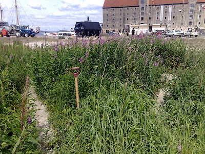 Phyllis Odessey: In the WEEDS: Camilla Berner